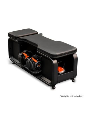 Flexnest MultiPurpose Benches : Buy Flexnest The Flexbench Pro Incline ...