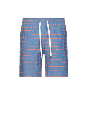 Buy Chubbies The Tributes 7 Swim Short (L) Online