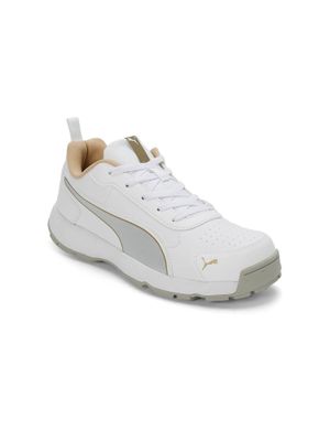 Buy Puma Cricket Classicat Mens Beige Cricket Sports Shoes Online