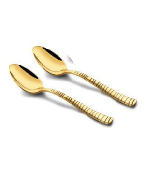 Buy FNS Boston 2 Pcs Serving Spoon Set With Box Packing Online