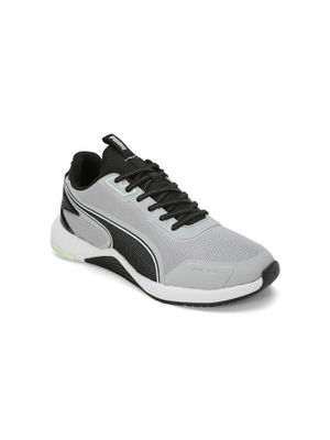 Buy Puma Men Extrinsic Grey Training Shoes (UK 11) Online