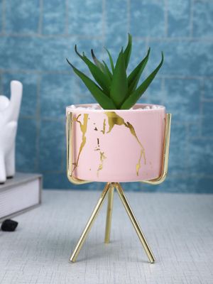 Buy Tayhaa Aloe Vera Plant Pink & Gold Ceramic Pot with Metal Stand Online