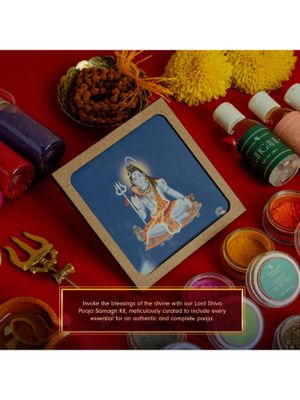 Buy Samskara Home Blue Shiva Pooja Samagri Kit Online