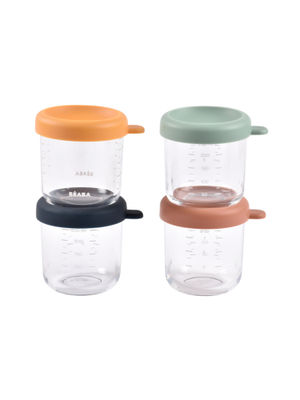 Buy Beaba Glass Food Storage Containers 250 Ml Sunrise (Pack of 4) Online