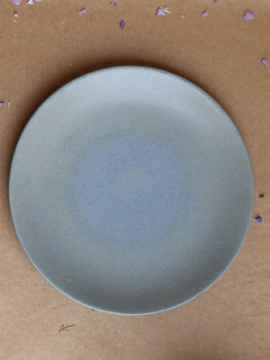 Buy WEAVING HOMES Earthy Solid Dinner Plate Online