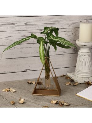 Buy The Decor Mart Love Triangle Test Tube Planter Online