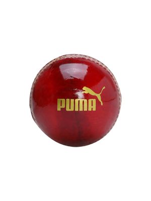 Buy Puma CRICKET Mens Red Cricket Ball Online