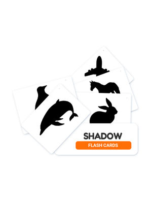 Buy Bloomy Brain Toys Shadows Flash Cards Online