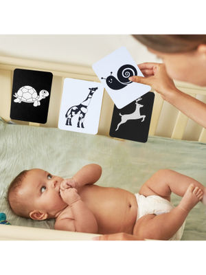 Buy Baby Moo High Contrast Flash 36 Cards - Bundle of Animals, Vehicles ...