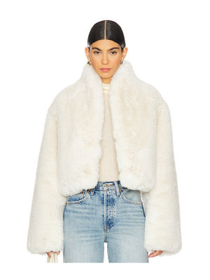 Buy Lovers and Friends Elizabeth Jacket (L) Online