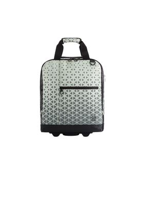 Buy CARPISA Taupe Daily Go Boarding Cabin Trolley (S) Online