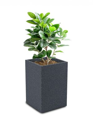 Buy Yuccabe Italia Grey Cubo 18 Inch Tall German Polymers Planter Online